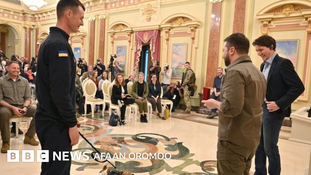 Waraan Yukreen: Yukireen saree meeshaalee waraanaa dhohan suufuun adda ...