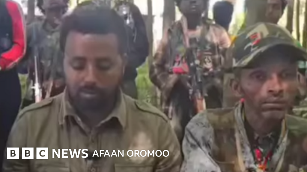 ABOn 'Finxaaleyyiin Faannoo Wallaggatti Iziin akka of ijaaraan kan ...