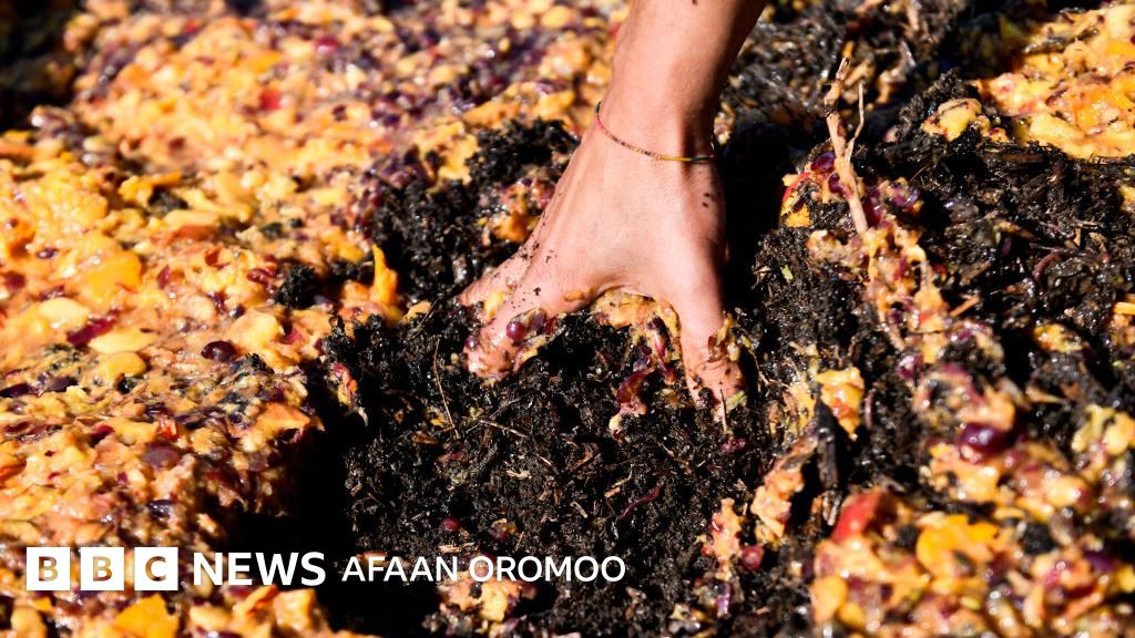 Xaa'oo uumamaa baasii qusatuu fi biyyee dhukkubsate fayyisu attamiin ...