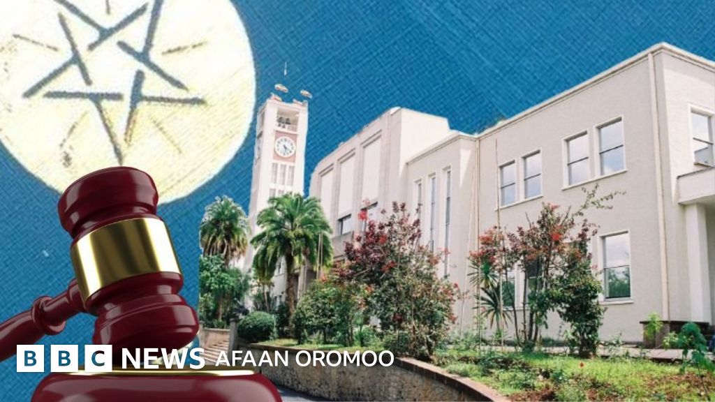 Wixineen labsii aangoo manneen murtii qooddatuufi mirga lammiilee ...