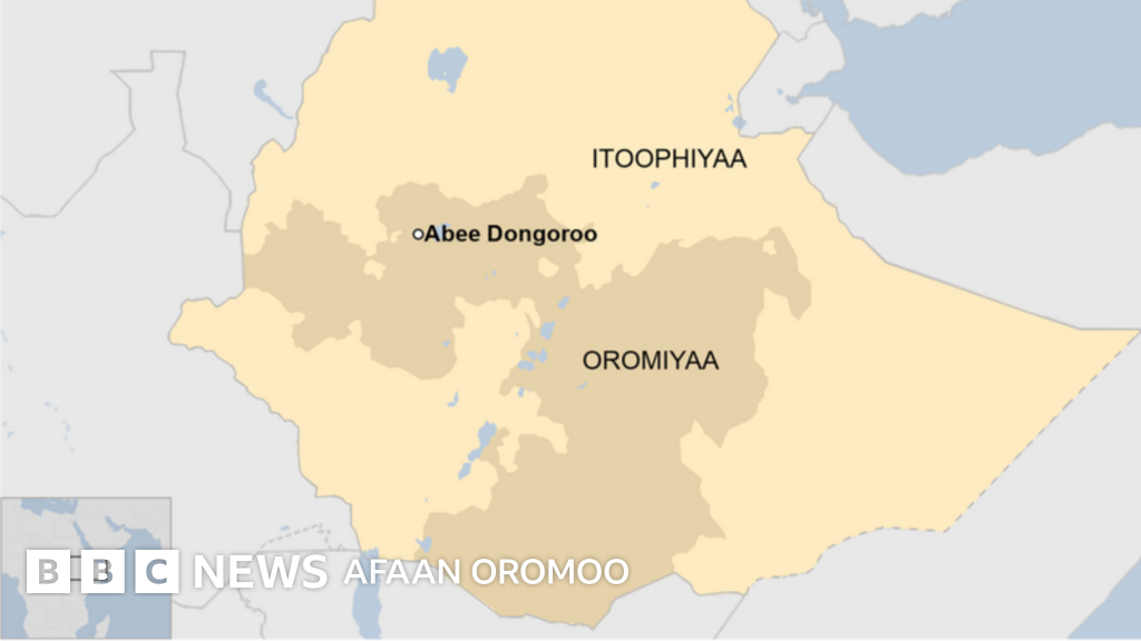 Abee Dongorootti hidhattoonni Faannoo qaamolee nageenyaafi jiraattota ...