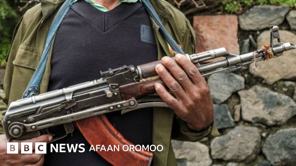 Faannoo fi Raayyaan Ittisaa magaalaa Goondar keessatti walitti ...