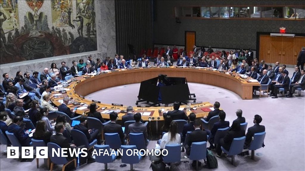 Manni Maree Nageenyaa UN dhimma Somaalilaandiif walgahii ariifachiisaa ...