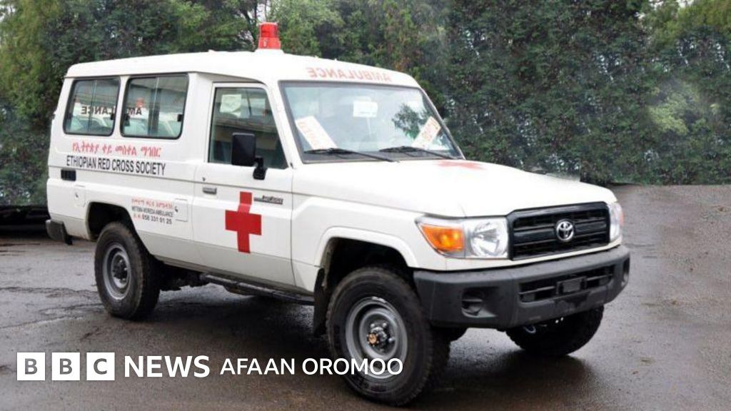 Waldaan Fannoo Diimaa Itoophiyaa Naannoo Amaaraatti hidhattoonni ...
