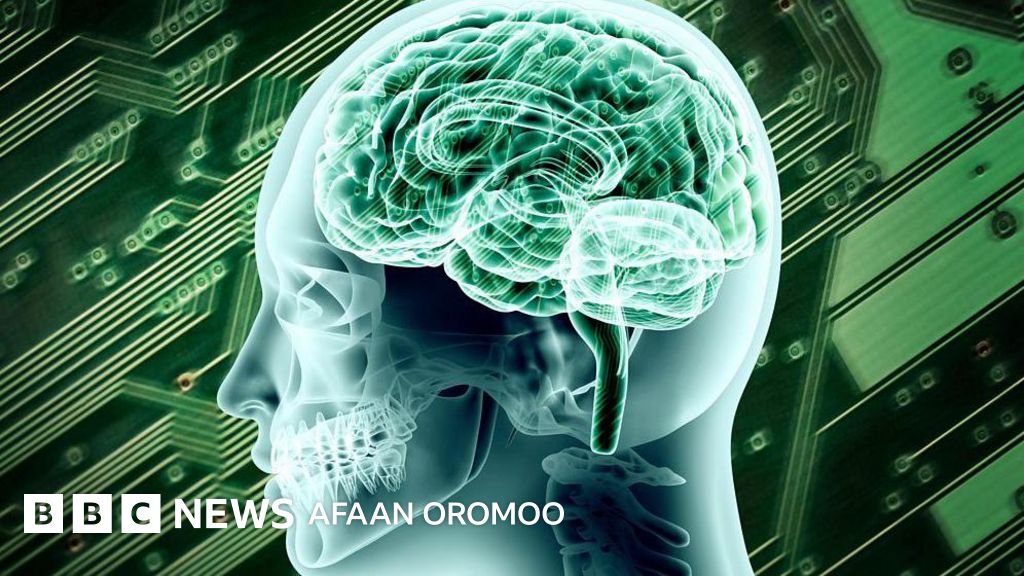 Iccitiiwwan sammuun anniisaa ittiin hojjatu waatii 23 ittiin ...