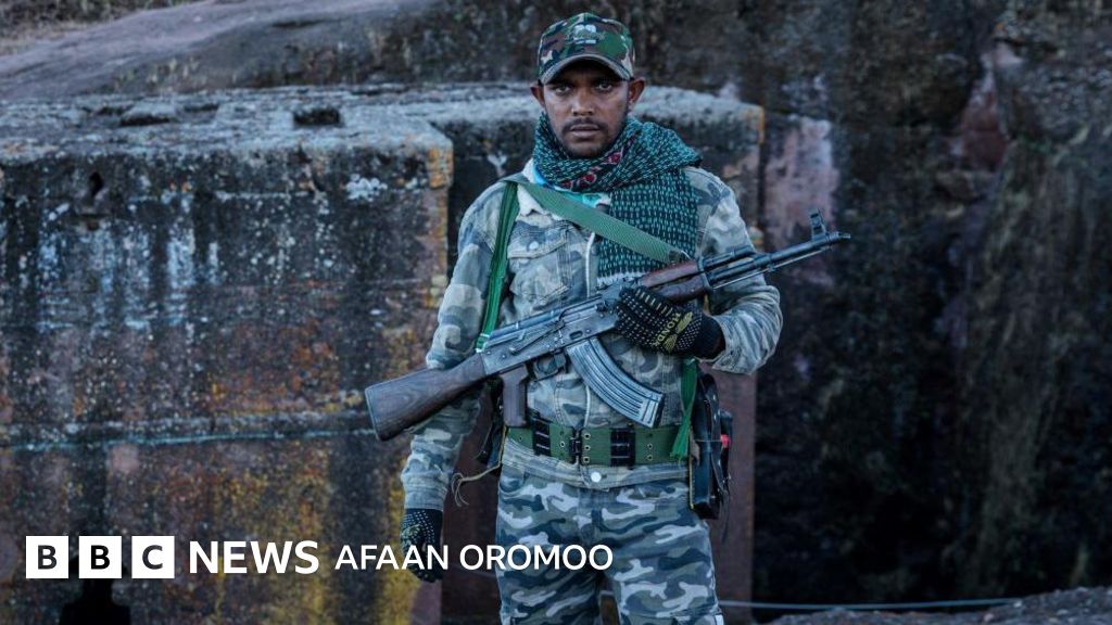 Lola Naannoo Amaaraa keessatti qooda fudhataa ijoo kan tahe Faannoon ...