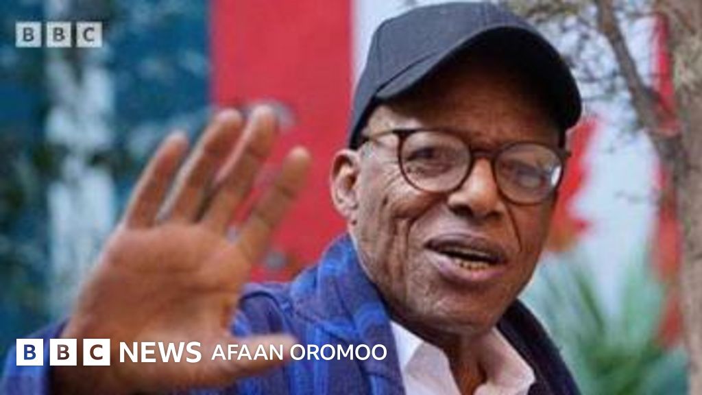 W﻿alleewwan Artist Alii Birraa yoo xiinxalaman - BBC News Afaan Oromoo