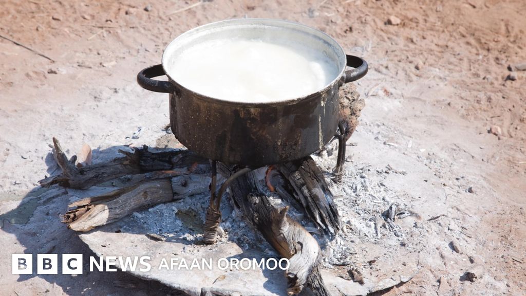 Miseensonni maatii 13 marqaa summaa'e nyaatan lubbuun darbe - BBC News ...