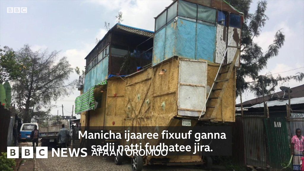 Nama Finfinneetti gamoo darbii lamaa konkolaataarratti ijaareen ...