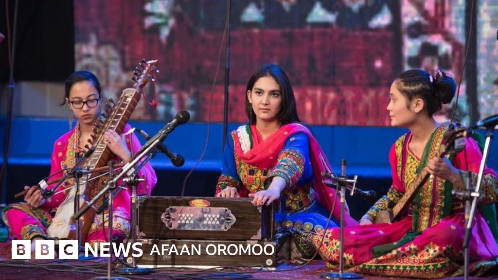 Shamarree Afgaanistaan: 'Yoo loluu baanne sirumasaayyu muuziqaa nu ...
