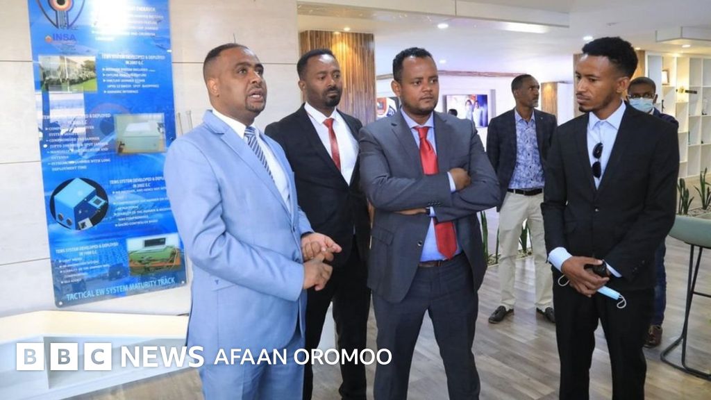 INSAn barsiisaa Yunvarsiitii Dambidoolloo tibbana diroonii hojjate 'nan ...