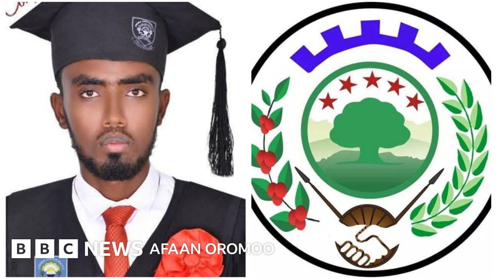 'Miseensi koree giddugaleessaa KFO Jimmatti hidhame torban lamaan booda ...