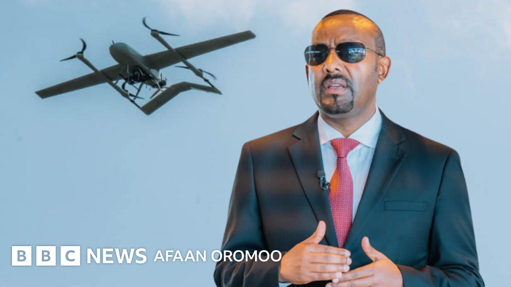 Waraana Itoophiyaa: Itoophiyaan akkamiin diroonii biyya keessatti ...