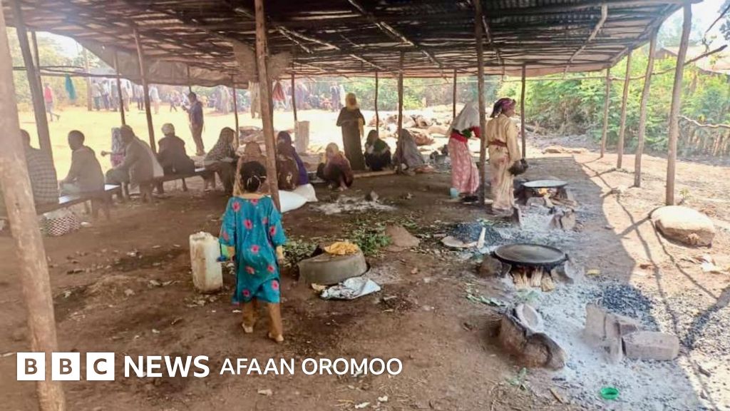 Halleellaa Wallagga Bahaatti raawwateen yoo xiqqaate namoonni 50 ...