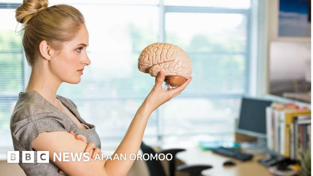 Guddinni sammuu akkuma hojjaa keenyaa yeroo booda ni dhaabbataa? - BBC ...