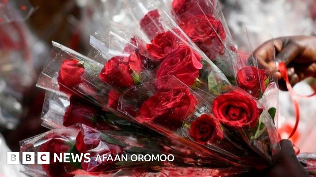 Shamarran waliin yeroo dabarsuuf nu qofti kaffaluu hin qabnu-Dhiirota ...