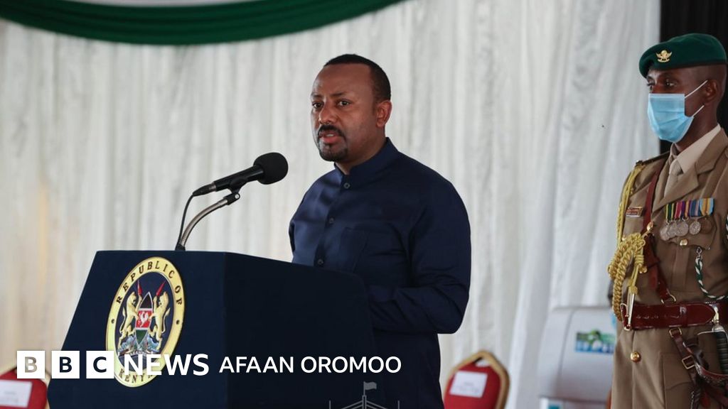 'Al-Shabaabi fi ABO shanee naannoo kanaa yoo balleessine tokkummaan ni ...