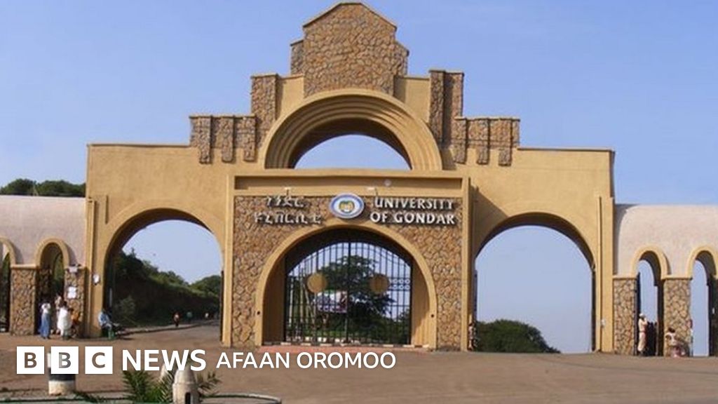 Dhaabbilee Barnoota Olaanoo Itoophiyaa: 'Ijoolluma dareetti waliin ...