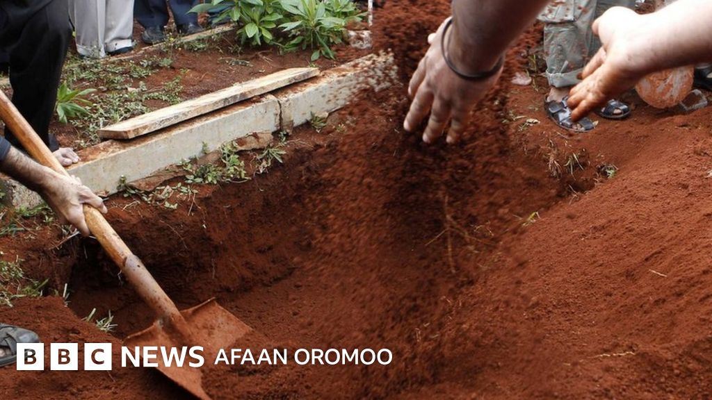 Keeniyaa: Aanga'oonni uffata dambii fudhachuuf jecha reeffa qotanii ...