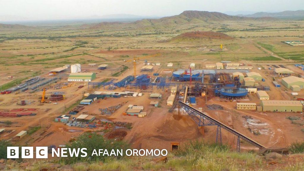 Himatni dhaabbata Kaanaadaa, Eertiraatti warqee barbaadurratti banamee ...