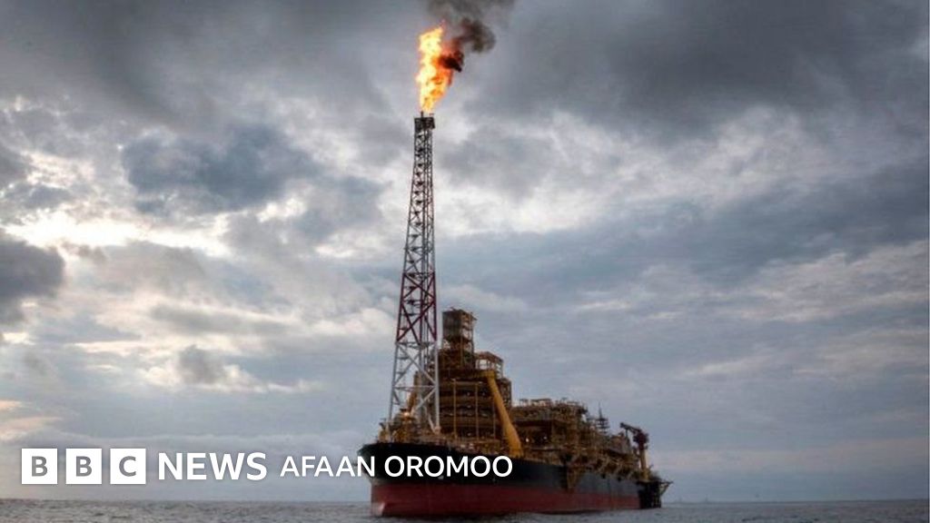 Koronaavaayiras: Gatiin boba'aa kufee zeeroo gadi ta'e jechuun tola ...