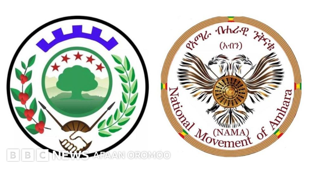 Nageenya Oromiyaa: ABIN isa KFO’n rakkoo nageenyaa Oromiyaaf ...