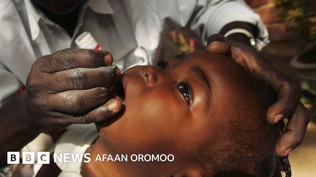 Gosti Pooliyoo tokko babal'annaan Itoophiyaan duula talaallii eegalte ...