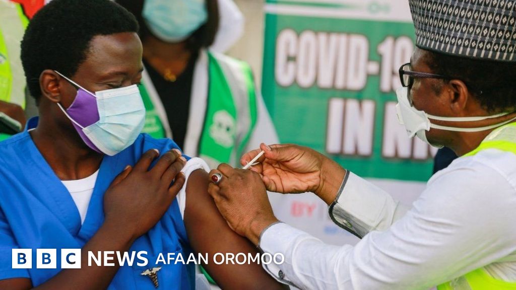 Covid-19: Biyyoonni Afriikaa maaliif talaallii Covid-19 qisaasessanii gatu? - BBC News Afaan Oromoo