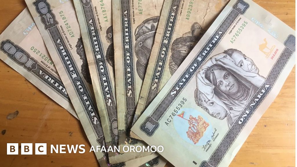 Ertiraan yeroo bilisa baate hoggantoonni 'Singaappoor ishee goona ...