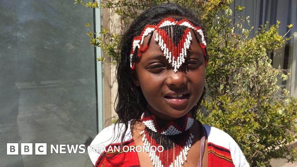 Walaloo Seeneet Gizaachoo eenyutu barreessaaf? - BBC News Afaan Oromoo