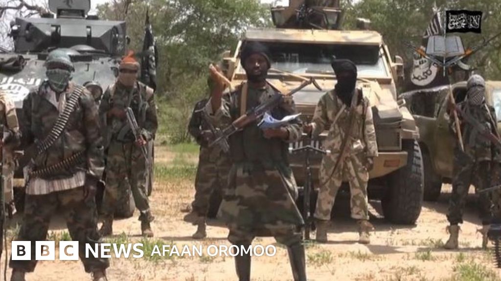 Shamarran Naayijeeriyaa haleellaa Bookoo Haraam mana barumsaa irratti ...