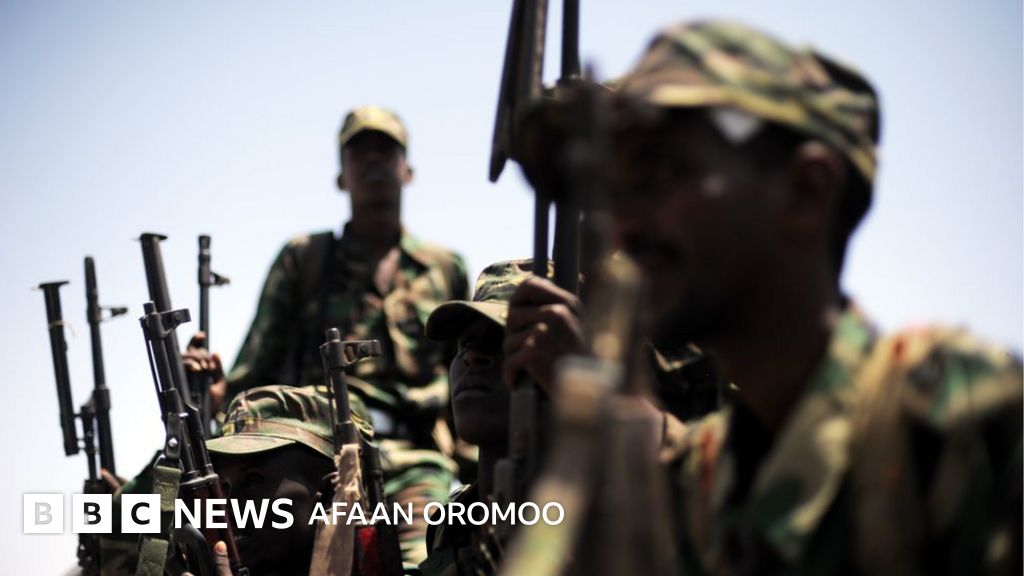 Raayyaan Ittisaa Itoophiyaa nageenya boora'e bakkatti deebisuu danda'aa ...