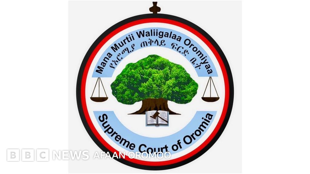 Ajajni mana murtii kabajamuu dhabuu irratti manni murtii Waliigalaa ...