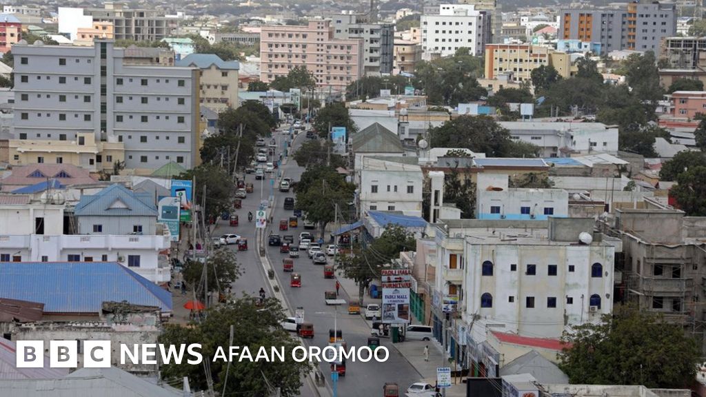 Narsiin Fannoo Diimaa lammii Jarmanii hidhattoota Somaaleen ukkaamfamte ...