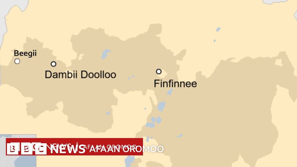 Wallagga Lixaa wal-waraansi adeemaa jiraa? - BBC News Afaan Oromoo