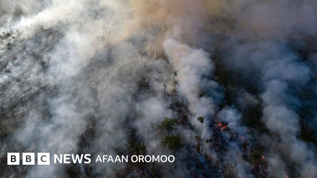 Ibidda Amaazoon dhaamsuuf biyyoonni G7 waligaluu gahaniru - BBC News ...