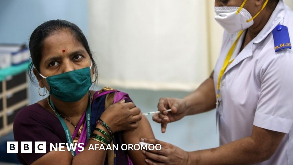 Talaallii Covid-19: Biyyoonni hiyyeeyyiin akkamiin talaallii Koronaavaayiras argatu? - BBC News ...