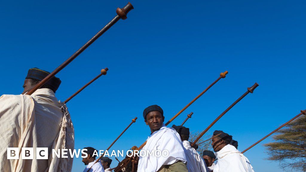 Aadaafi Seenaa Oromoo: Orooroon yoomiifi eenyuun qabatama, fardiifi ...