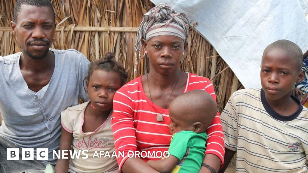 Moozaambik: Hidhattoonni daa'imman adamsanii qalaa jiru jedhe ...