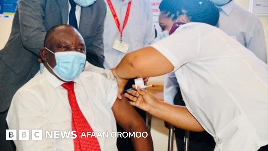 Koronaavaayiras፡ Afriikaan Kibbaa talaallii Covid isa jalqabaa pirezidaantii biyyattiif kennuun ...