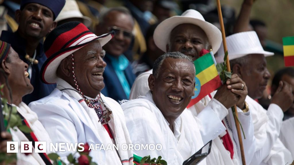 Pirof. Izqeel Gabbisaa: 'Sabboonummaa Oromoo ititee humna biyya ...
