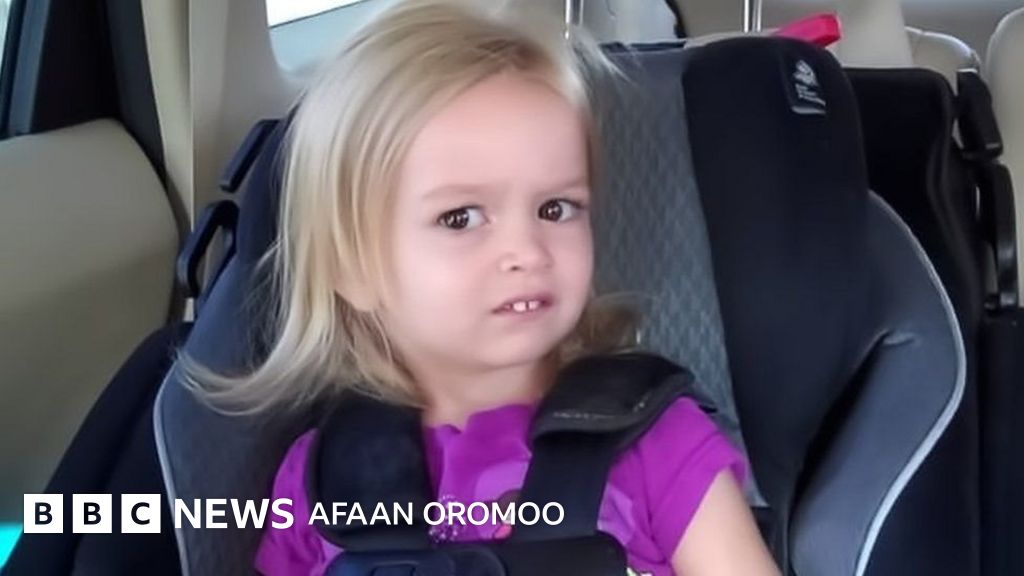 ‘Meme’n daa’ima ‘dalga nama ilaaltuu’ caal-baasii doolaara kumaatamaan ...