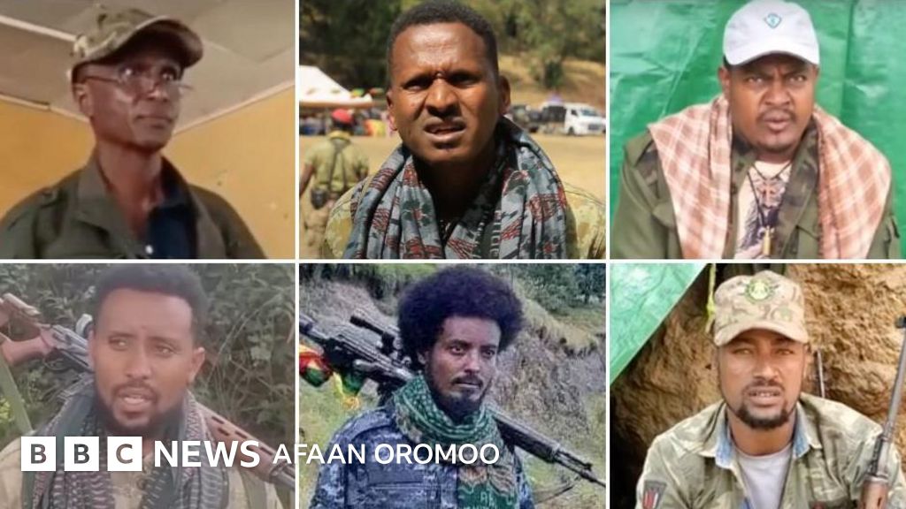 Faannoo: Hoggantoonni hidhattoota Faannoo Amaara keessa socho'anii ...