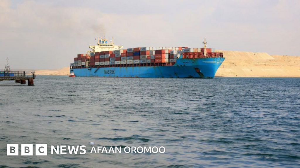Buufata doonii Asabii fi Itoophiyaa maaltu walitti hidhe? - BBC News ...