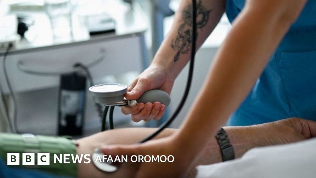 Jarmaniin baqattoota ogummaa qaban hawwachuuf seera raggaasiifte - BBC ...