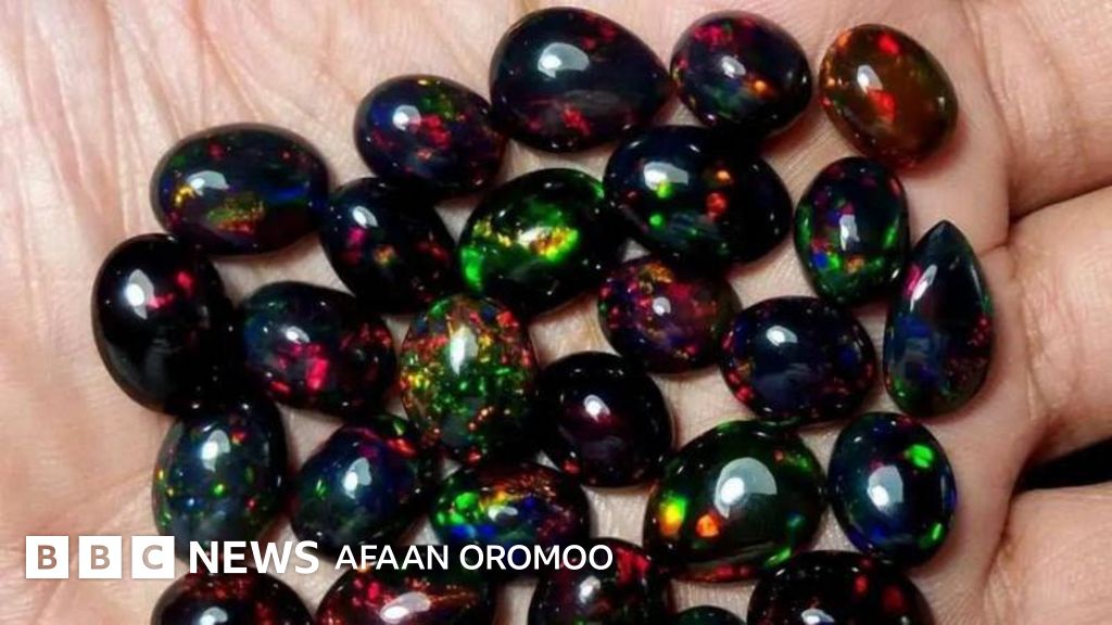 Walloo Kibbaatti namoonni albuuda baasan boolla keessatti erga hafanii ...