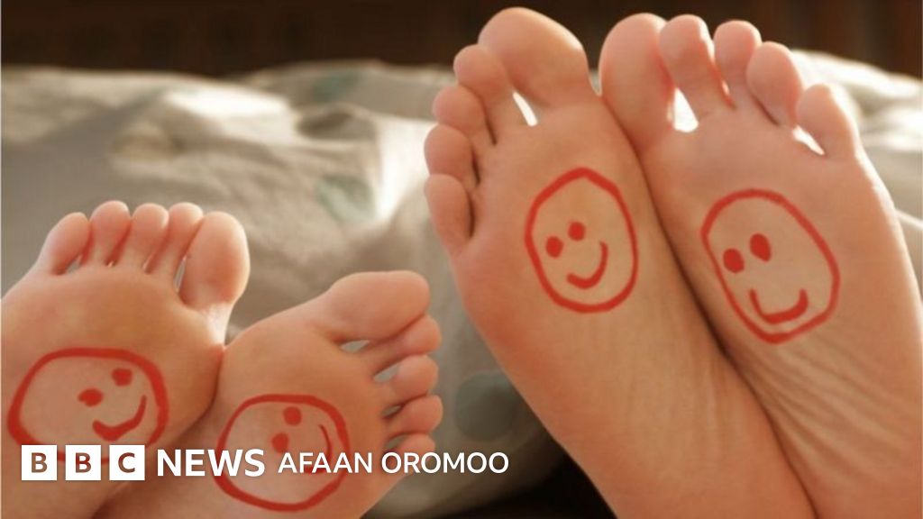 Walqunnamtii saalaa duraa fi booda kutaalee qaamaa qulqullaa'uu qaban ...