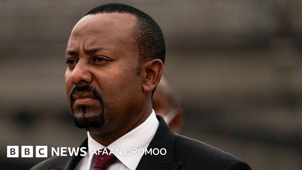 'Humna addaa gurmeessuu kanneen danqanirratti tarkaanfiin ni fudhatama ...