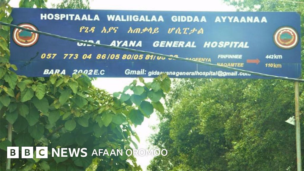 Giddaa Ayyaanaa: 'Ji’uma kana hanqina dhiigaan dubartoota ulfaa sadiitu lubbuun darbe' - BBC ...