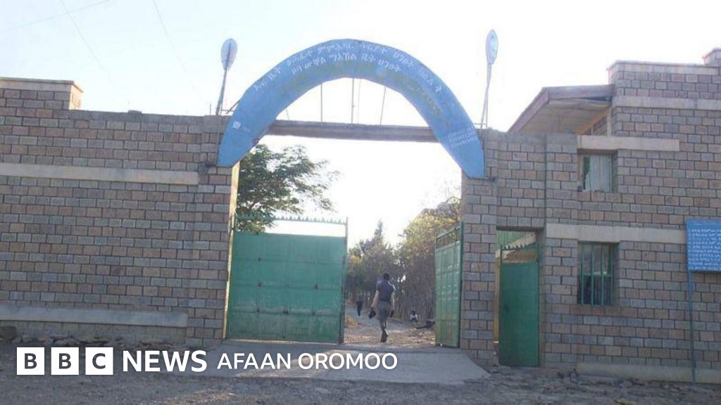 Sirreeffamtoonni mana hidhaa Maqalee guddicha keessaa miliquuf yaalan ...